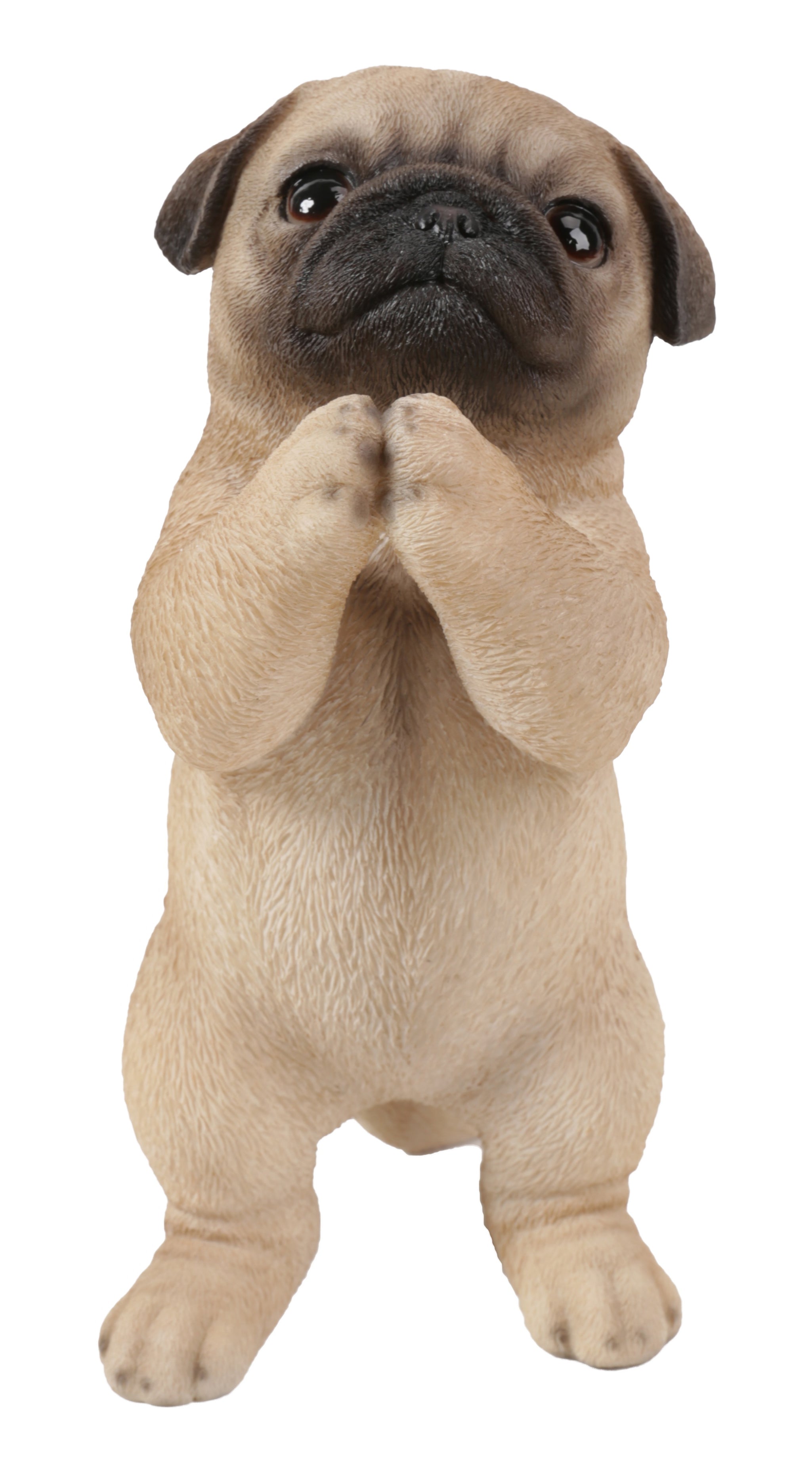 Pug Puppy Statue Praying – Hi-Line Wholesale CA
